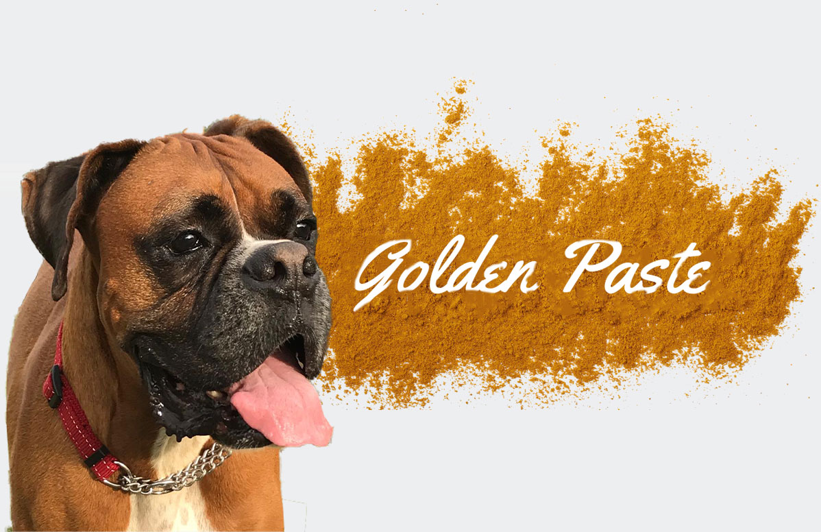 Golden PasteSufalaam in Bangalore Chennai Delhi brings pesticide free ...